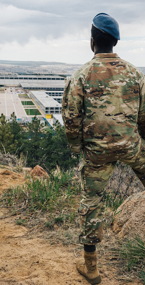 Long Blue Line Portal