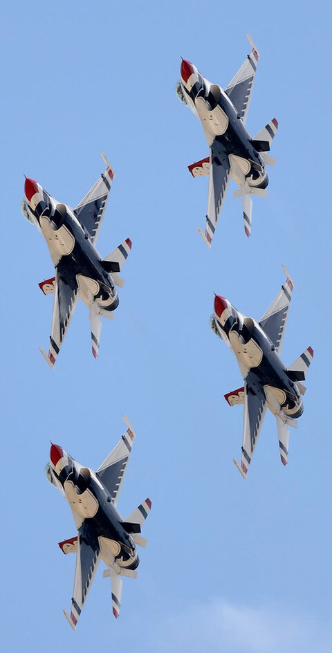 Long Blue Line Portal